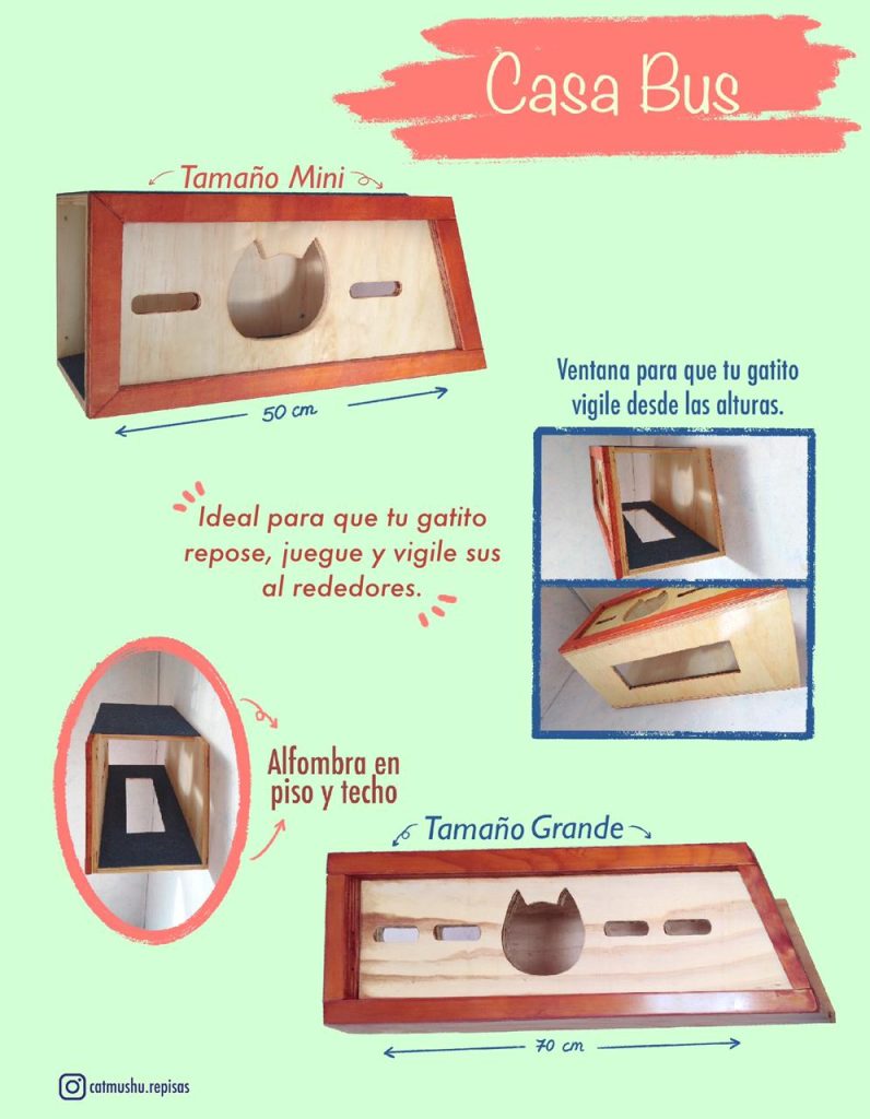 Casa Bus Grande – CATMUSHU